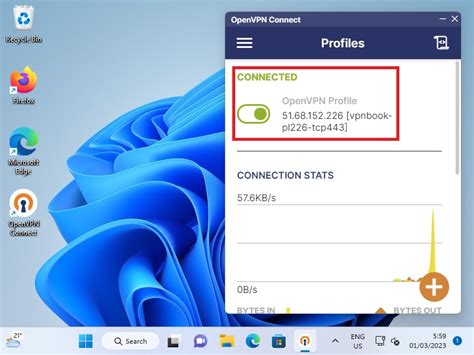 How To Set Up OpenVPN On Windows 11