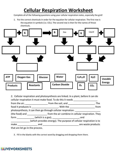 Aerobic Respiration Gap Fill Worksheet Science Beyond Worksheets