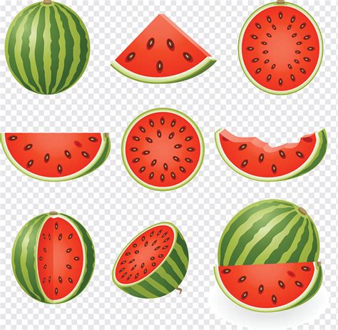 Watermelon Drawing Watermelon Food Melon Fruit Png PNGWing