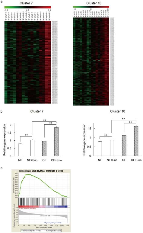 analysis of dna microarray data a clustering analysis of dna download scientific diagram