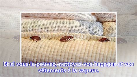 Comment Se Débarrasser Des Punaises de Lit à la Maison RAPIDEMENT