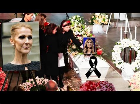 El Triste Final De Seline Dion La Maldicioon Que Arruino Su Carrera Y