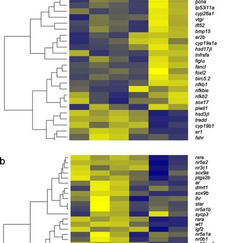 heatmap of the microarray expression data for 49 out of 5 download scientific diagram