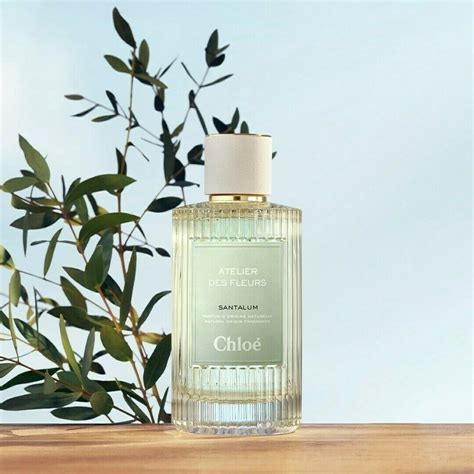 Atelier Des Fleurs Santalum Von Chlo Meinungen Duftbeschreibung