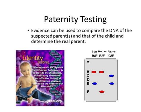 Southern Blot Principle Protocol Steps And Uses Laboratoryinfo