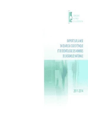 Remplissable En Ligne Remplissable Rapport Sur La Mise En Oeuvre Du