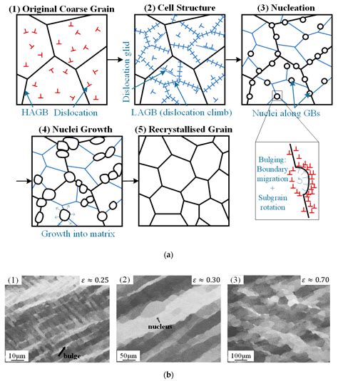 Metals Free Full Text A Review Of Microstructural Evolution And