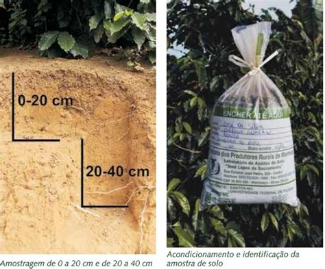 Amostragem De Solo Como Separar E Enviar Ao Laborat Rio Cocapec