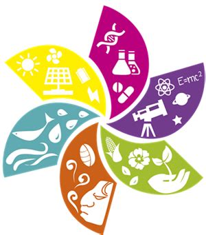 Relaci N De La Biolog A Con Otras Ciencias Ciencias Interdisciplinarias