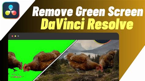 How To Delete Remove Green Screen In Davinci Resolve 18 IN 1 MINUTE