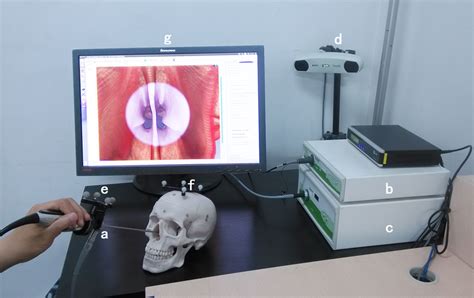 components of the augmented reality navigation system nasal endoscopy download scientific