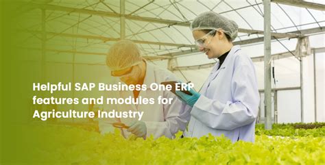 Helpful SAP Business One ERP Features And Modules For Agriculture