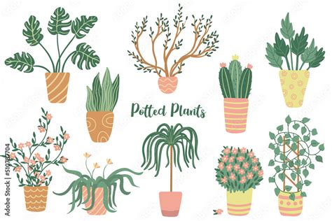 Houseplants Set Hand Drawn Flat Vector Illustrations Of House Plants