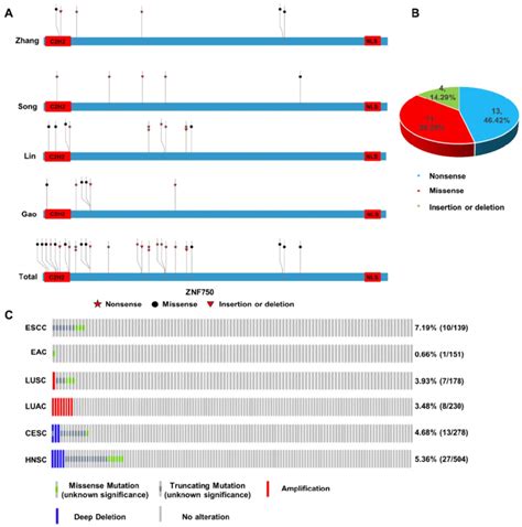 Somatic Mutation And Copy Number Variation CNV Profiles Of ZNF750 In