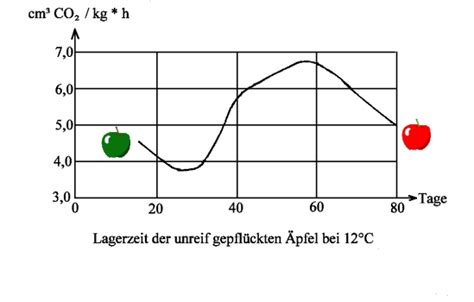 Vortrag Dr Scharnow Abbildung 14 Transport Informations Service