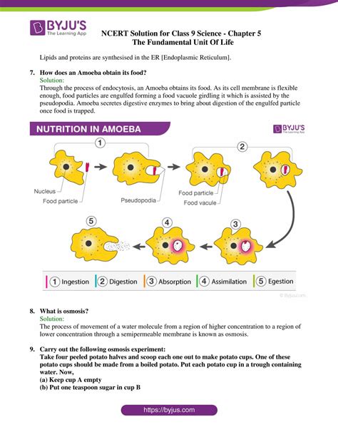 NCERT Solutions For Class 9 Science Chapter 5 The Fundamental Unit Of Life