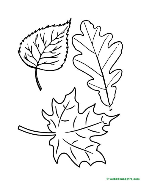 Dibujos del otoño para colorear Web del maestro