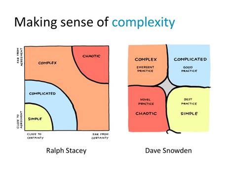 making sense of complexity ralph stacey dave snowden critical thinking skills logic and