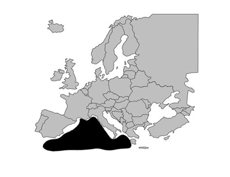 Geography Unit 4 Europe Flashcards Quizlet