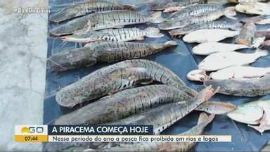 Bom Dia GO Piracema começa nesta segunda feira 1º Globoplay