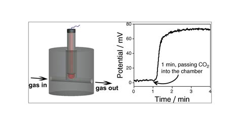 Direct Determination Of Gas PH And Carbon Dioxide Concentration With PH