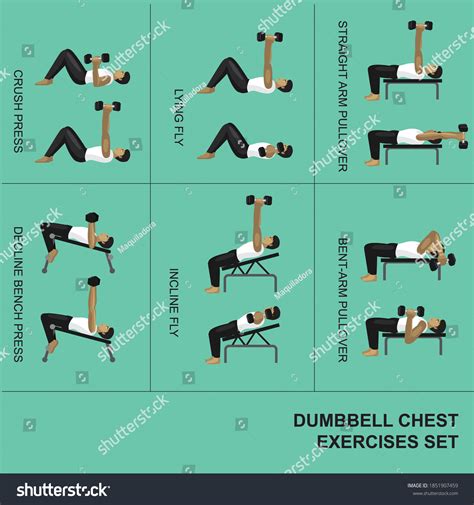 Chest Dumbbell Exercise Atelier Yuwa Ciao Jp