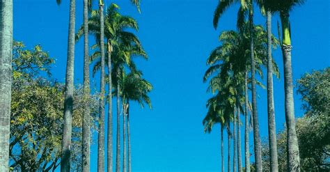 Pontos turísticos de Belo Horizonte que você não pode perder