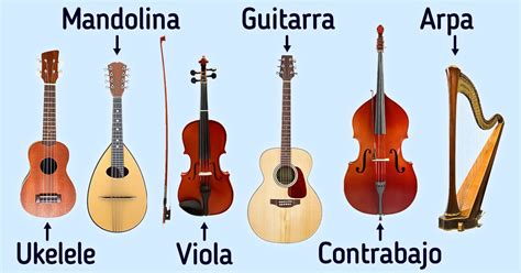 Guía de instrumentos musicales de cuerda Ideas En 5 Minutos