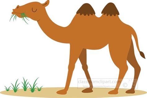 Camel Clipart Dromedary Camel Black White Outline Clipart Off