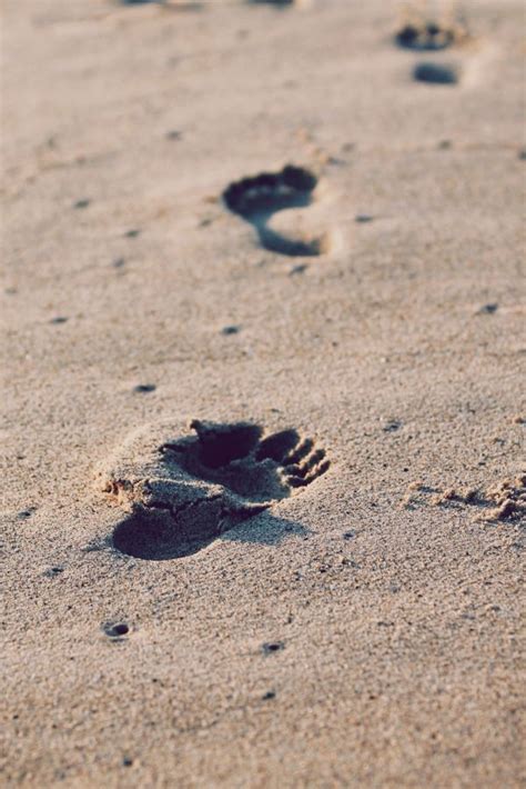 Free Images Beach Sand Rock Leaf Footprint Footstep Feet