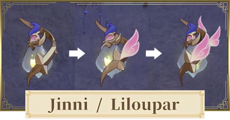 Genshin Jinni Liloupar How To Get Fragments Level Up GameWith