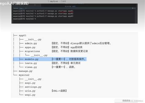 django入门 csdn博客
