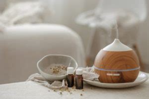 Como Usar Leos Essenciais Corretamente Mundoboaforma