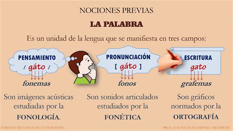 SERVICIO EDUCATIVO EN LENGUAJE Y LITERATURA MORFOLOGÍA LA ESTRUCTURA