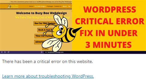C Mo Corregir Un Error Cr Tico De Wordpress En Menos De Minutos Y