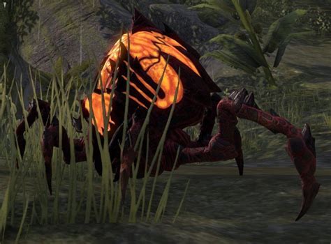 Red Petal Bastion Dungeon Guide For ESO ESO Hub Elder Scrolls Online