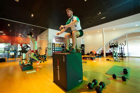 Descubrir 98 Imagen Clases Gimnasio Viaterra Mx