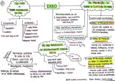 Erro De Tipo Permissivo E Erro De Proibi O Direito Penal I