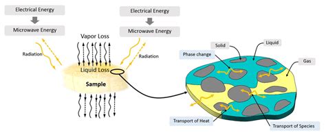 heat and mass transfer of a sample with representative elementary download scientific diagram