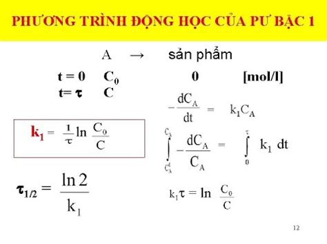 Phản Ứng Bậc 1 Hiểu Rõ Về Khái Niệm Công Thức Và Ứng Dụng Thực Tế