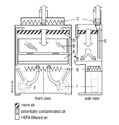 Schematic Diagram Of A Class II B1 Biological Safety Cabinet A Front
