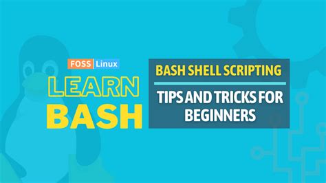 bash shell scripting 10 must know tips for beginners