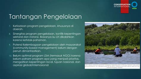 Tantangan Dalam Pengelolaan Ekosistem Mangrove Di Indonesia PPT