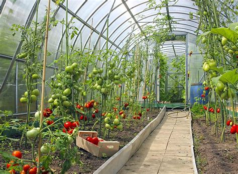 18 Gardening Methods To Choose From To Maximize Your Space