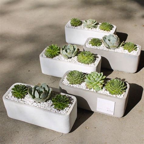 Ideas Para Hacer Y Decorar MACETAS De CEMENTO Increibles