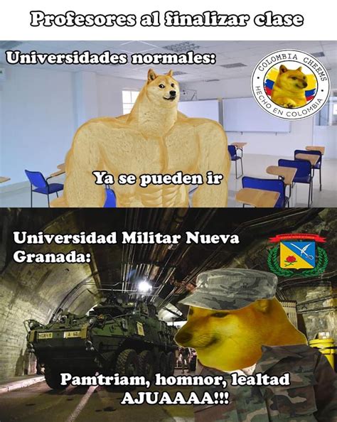 Colombia Cheems On Twitter Https T Co DGz9TtgeqN Twitter