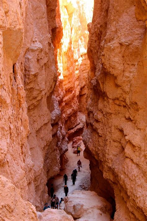 Deep Canyon Hike By Ian Layzell Desert Travel Bryce Canyon National
