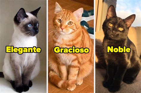 Contesta estas preguntas y te diremos qué tono de rojo refleja tu alma