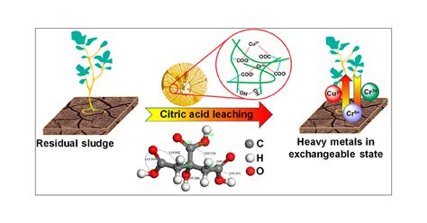 Construction Of A Bridging Network Structure By Citric Acid For