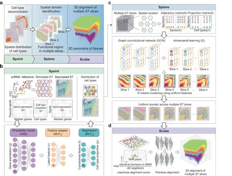 spacel deep learning based characterization of spatial transcriptome architectures nature